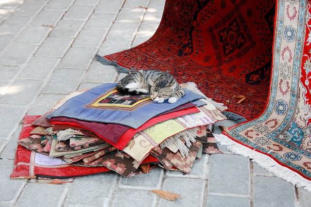 unique kilim cleaning treatment - The Not Perfect Housewife